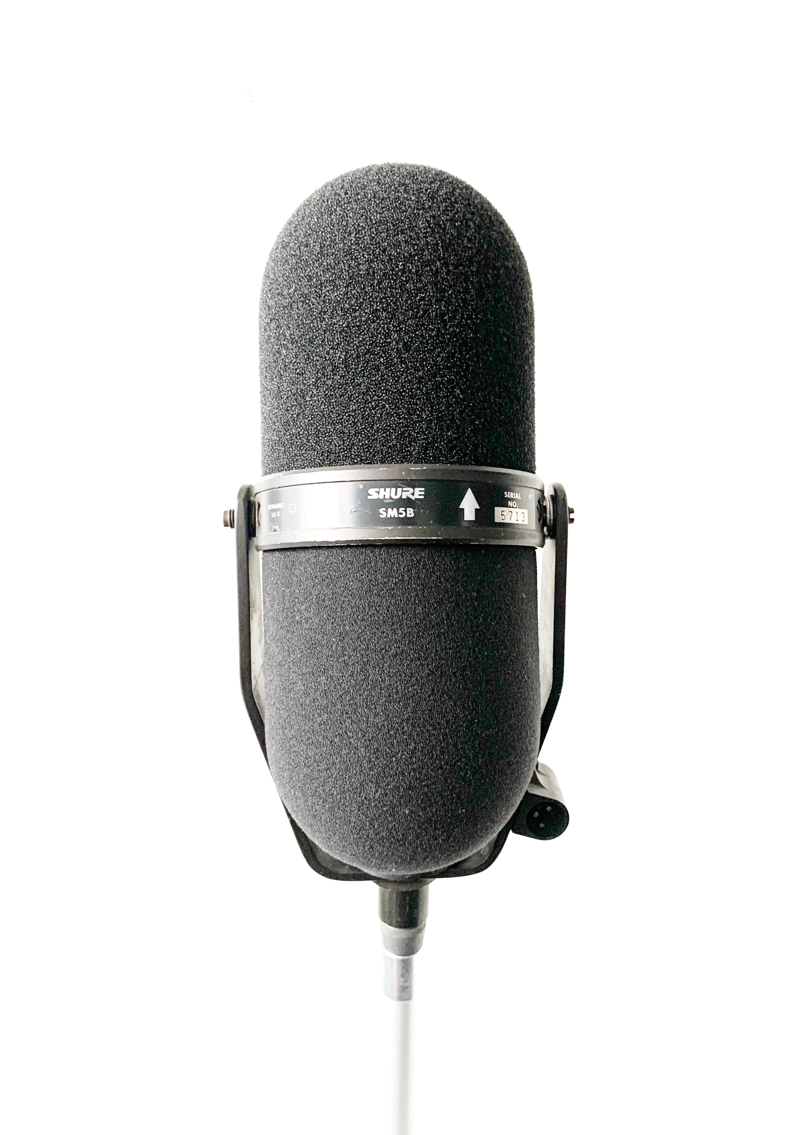 Shure SM5B Dynamic Microphone – Cole Picks Vintage